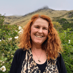 The Sunday Essay: A voice for the river | The Spinoff