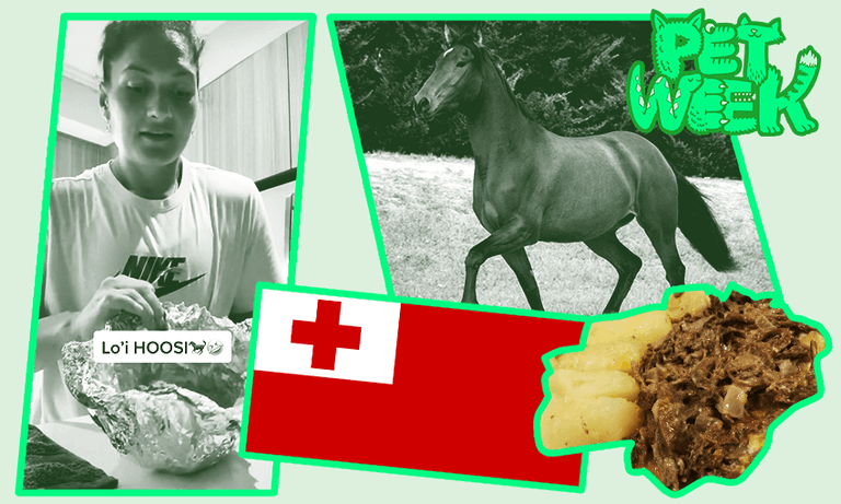 Tongans eat horse and it’s not that big a deal | The Spinoff