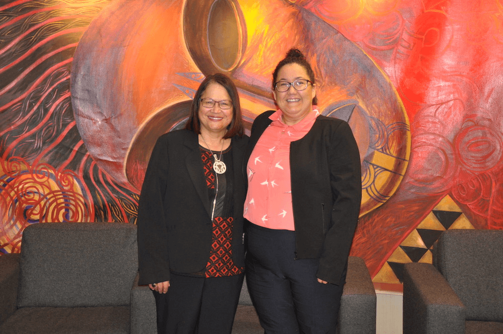 Māori health providers a breakthrough for whānau left stranded by ACC ...