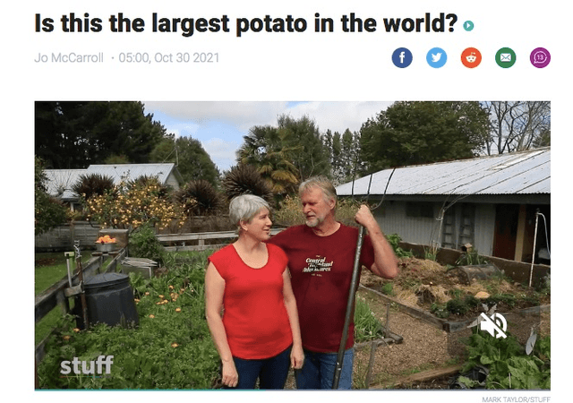 Dug the Potato: A timeline of triumph and tragedy | The Spinoff