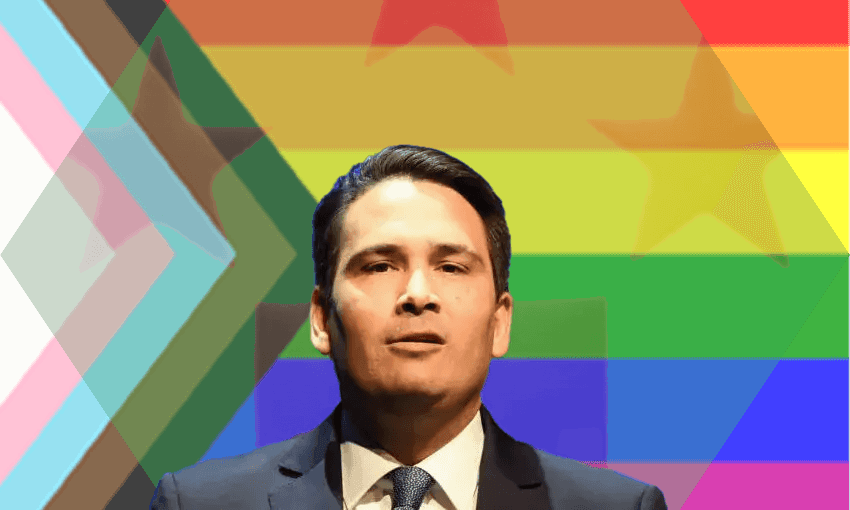 What Simon Bridges means to me | The Spinoff