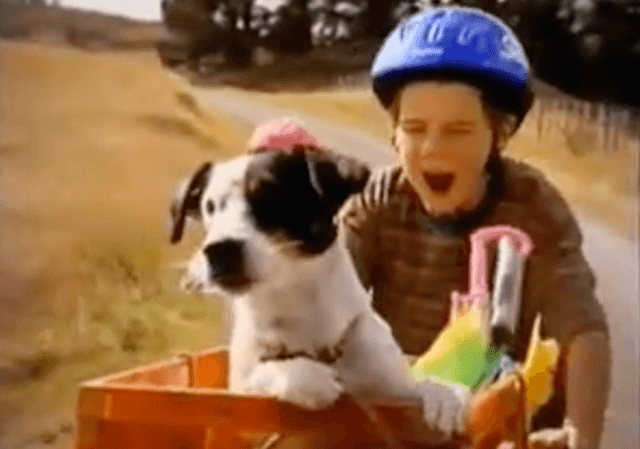 Best in show: Ranking the best pets from New Zealand TV ads | The Spinoff