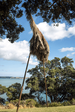 Spotted: Giant moa on Waiheke Island | The Spinoff