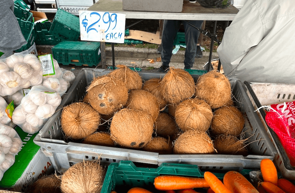 White gold: the everyday wonder of coconuts | The Spinoff