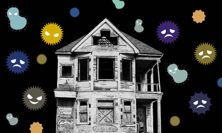 Student housing isn’t as bad as you think – it’s worse | The Spinoff