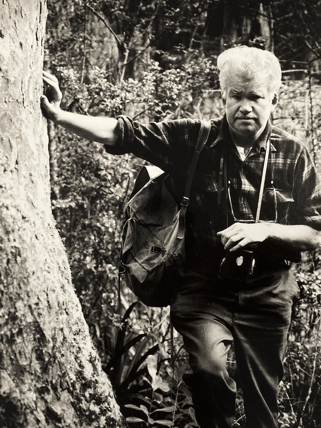 Remembering Olaf Petersen, one of New Zealand photography’s best kept ...