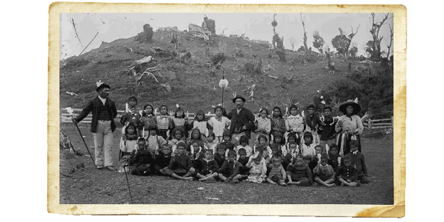 Why the new history curriculum will deepen divisions in Aotearoa | The ...