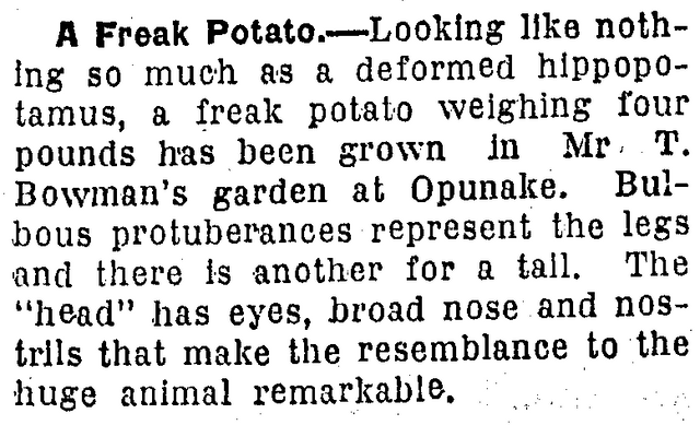 New Zealand’s greatest novelty potato news stories, ranked | The Spinoff