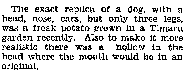 New Zealand’s greatest novelty potato news stories, ranked | The Spinoff