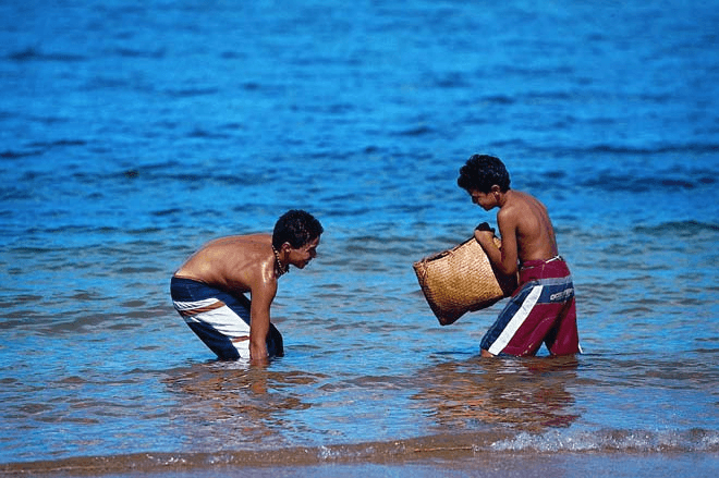 Matariki is more than just a holiday | The Spinoff