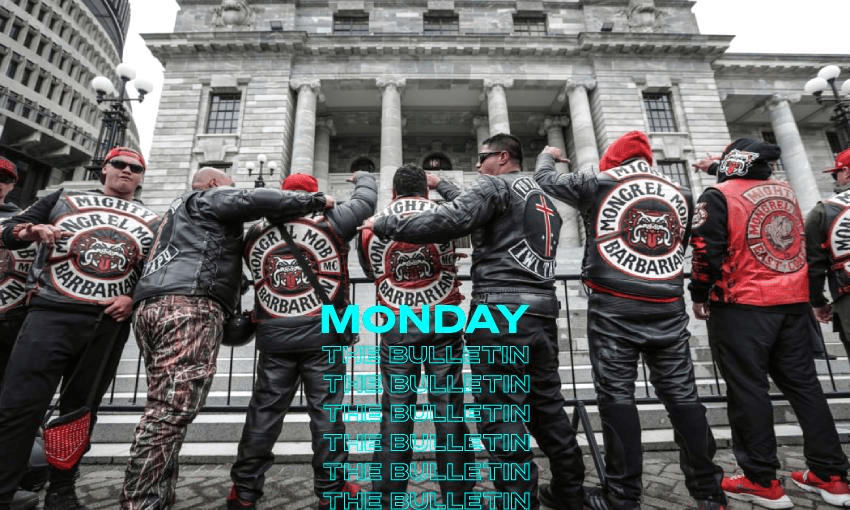 Dr David Galler: My wish for Waitangi | The Spinoff