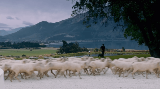What did Country Calendar do to make farmers so mad? An investigation ...