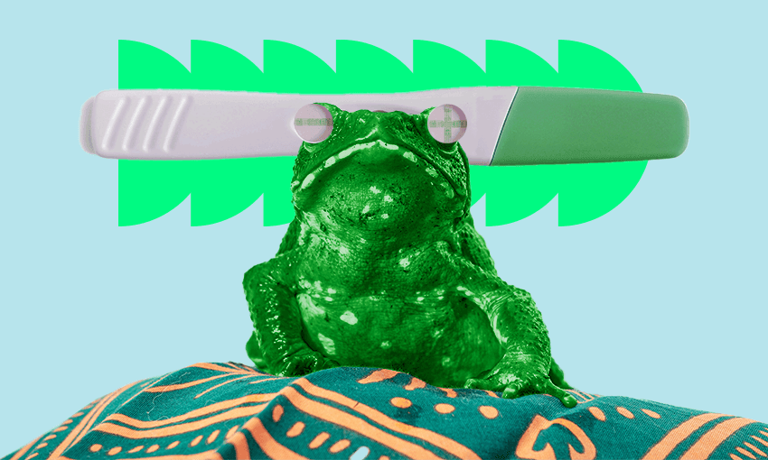 We need to talk about how frogs used to be pregnancy tests | The Spinoff