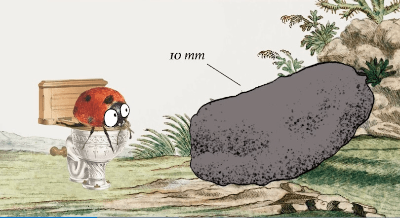 The Poo Files is New Zealand’s number one show about number twos | The ...