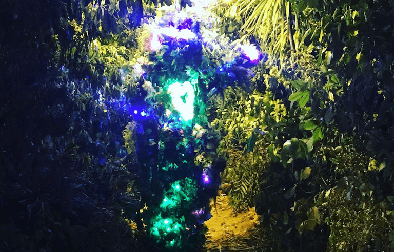 Have you seen the walking, talking tree of Wellington? | The Spinoff