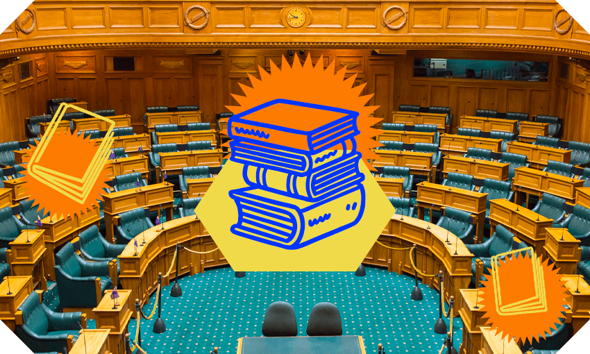 An illustrated guide to New Zealand politics meme pages | The Spinoff