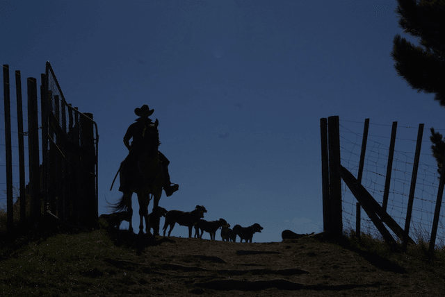 The secrets behind Country Calendar’s remarkable longevity | The Spinoff