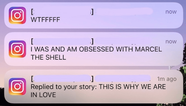 The best movie of the year is about a tiny talking shell | The Spinoff