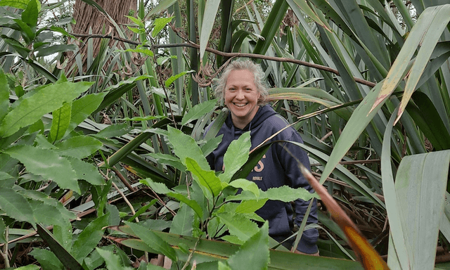How restoring NZ’s coastal wetlands could be key in the climate change ...