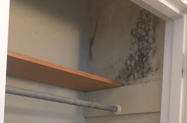 The mouldiest rental properties in Aotearoa, ranked and reviewed | The ...