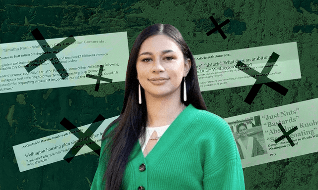 James Shaw exits Wellington Central race, backs Tamatha Paul as Green ...