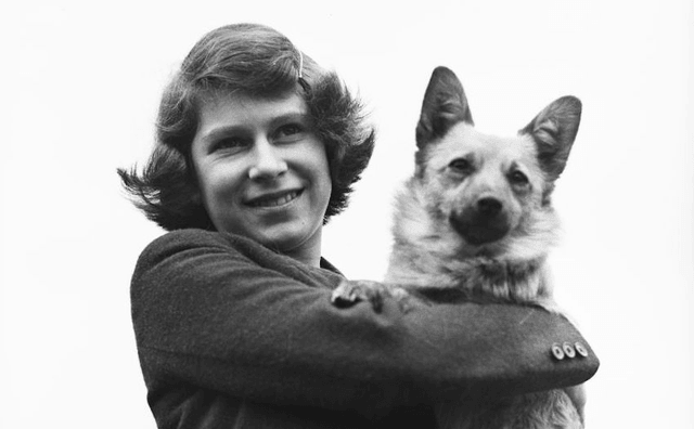 The best photos of the Queen and her dogs | The Spinoff