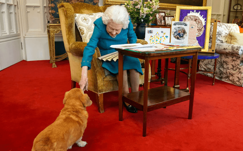 The best photos of the Queen and her dogs | The Spinoff