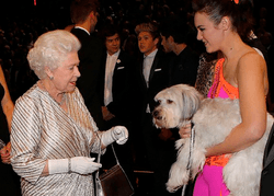 The best photos of the Queen and her dogs | The Spinoff