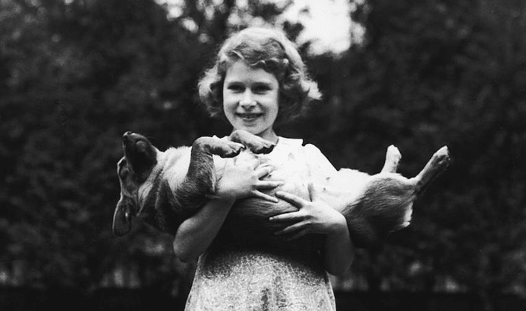 The best photos of the Queen and her dogs | The Spinoff