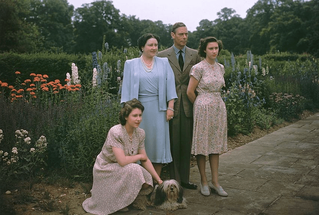 The best photos of the Queen and her dogs | The Spinoff