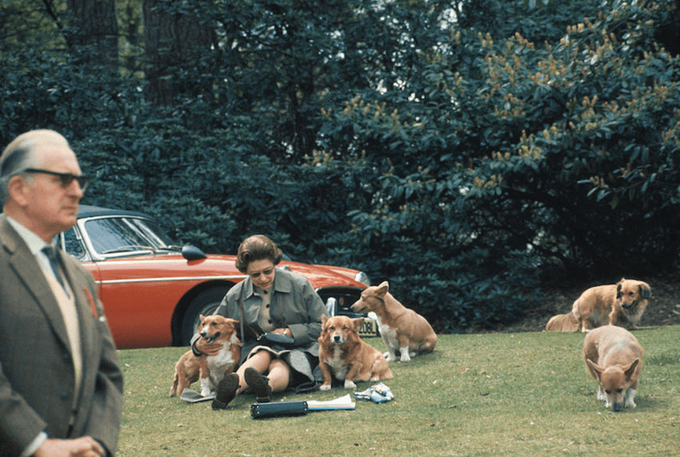 The best photos of the Queen and her dogs | The Spinoff