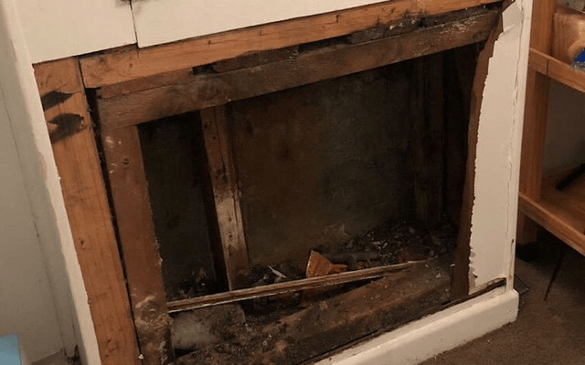The mouldiest rental properties in Aotearoa, ranked and reviewed | The ...
