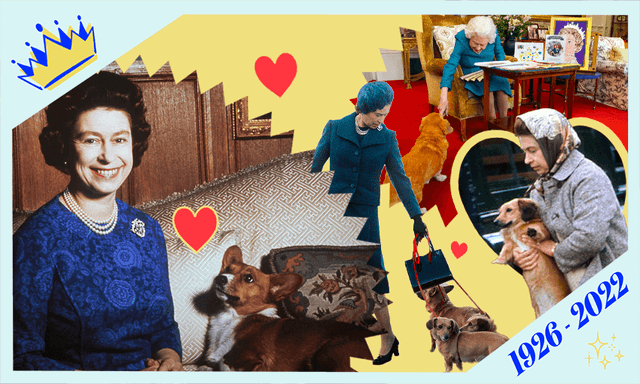 The best photos of the Queen and her dogs | The Spinoff