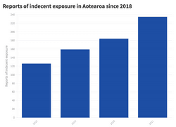 I was flashed at my local mall and it was no joke | The Spinoff