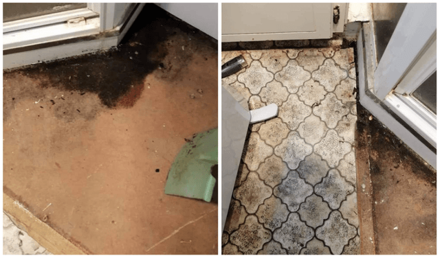 The mouldiest rental properties in Aotearoa, ranked and reviewed | The ...