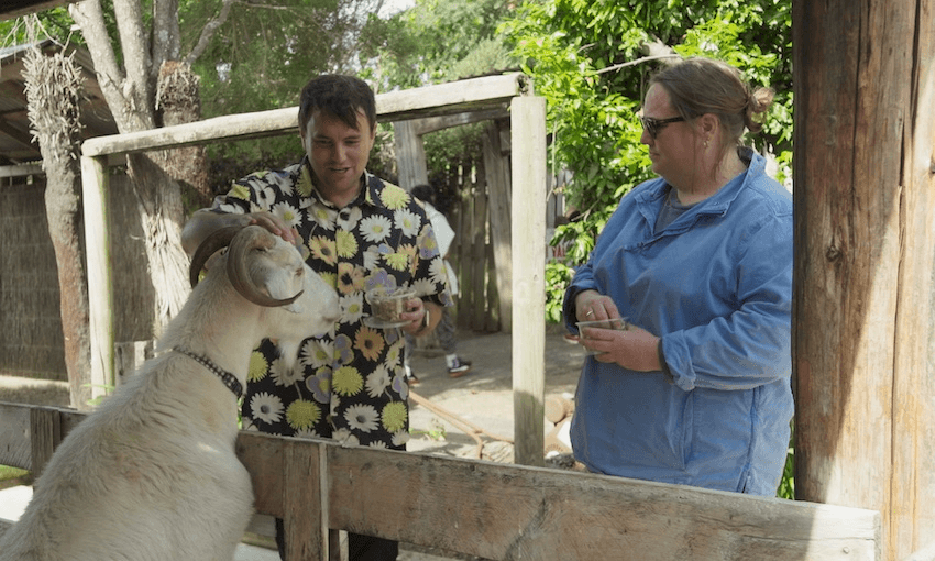 Good news: A new season of Alice Snedden’s Bad News is coming soon ...