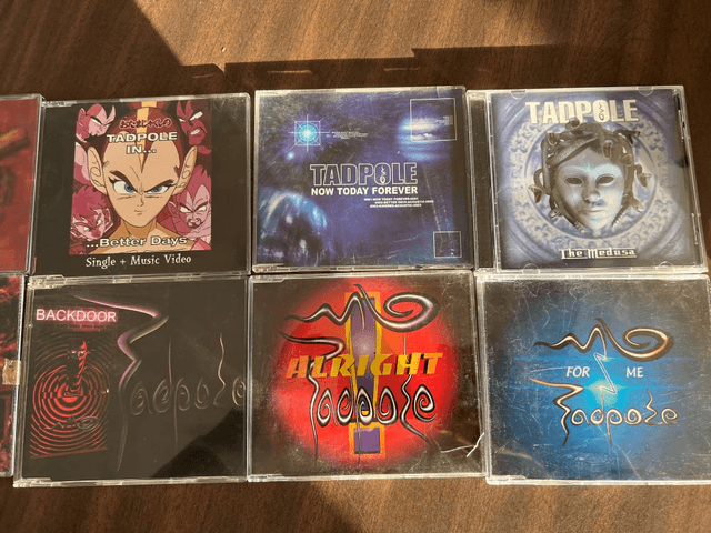 Tadpole’s fight for the rights to their back catalogue | The Spinoff