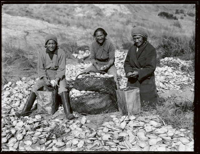 When toheroa soup went global | The Spinoff