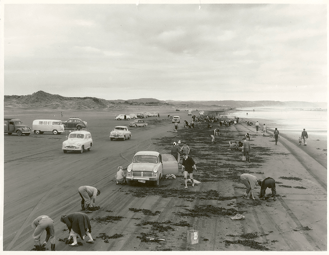 When toheroa soup went global | The Spinoff