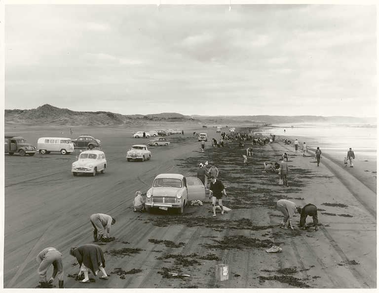 When toheroa soup went global | The Spinoff