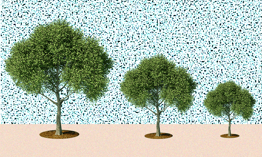 Why combatting climate change means embracing degrowth | The Spinoff