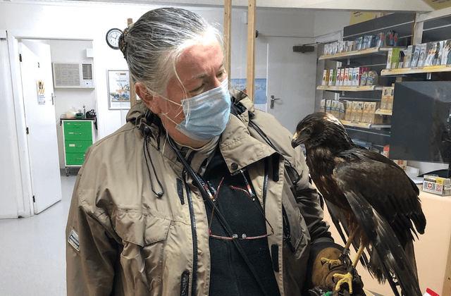 ‘Birds are so damned hard to fix’: Inside Aotearoa’s biggest bird ...