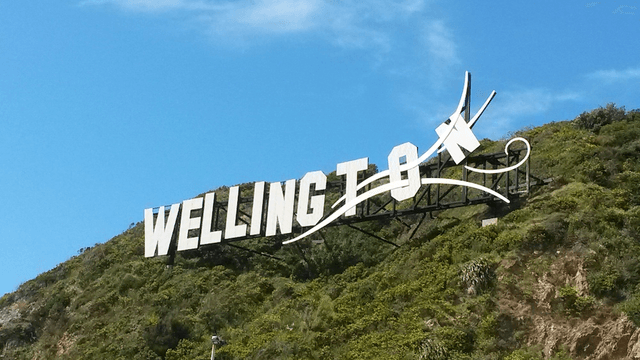 The Wellington sign is covered in graffiti and nobody seems to have ...