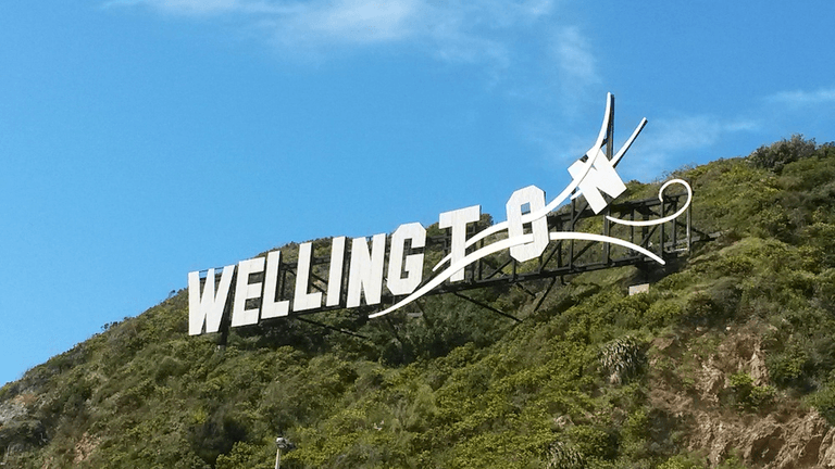 The Wellington sign is covered in graffiti and nobody seems to have ...
