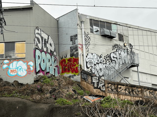 Auckland spends $4m cleaning up graffiti every year. Is it a waste of ...