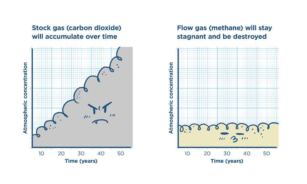 Setting a standard: How our beef and lamb footprint measures up against ...