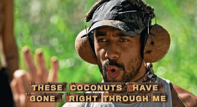 Every Celebrity Treasure Island contestant, ranked | The Spinoff