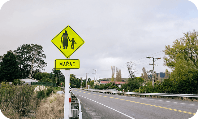 Five reasons every marae should have these traffic signs | The Spinoff