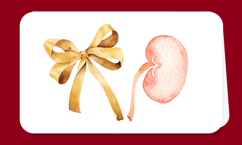 A kidney for Christmas | The Spinoff