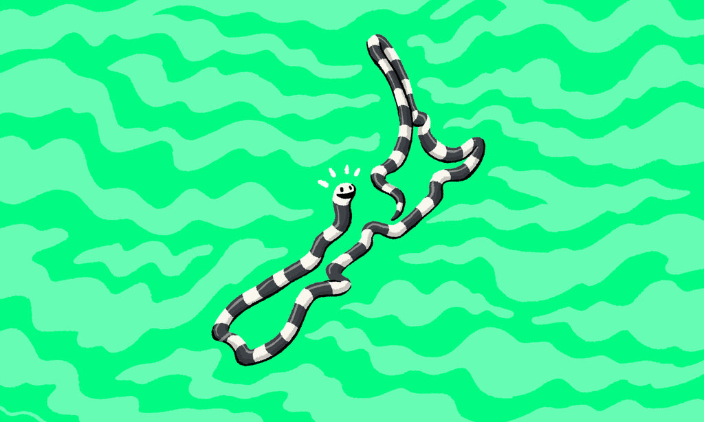The banded sea krait is New Zealand’s sea snake | The Spinoff